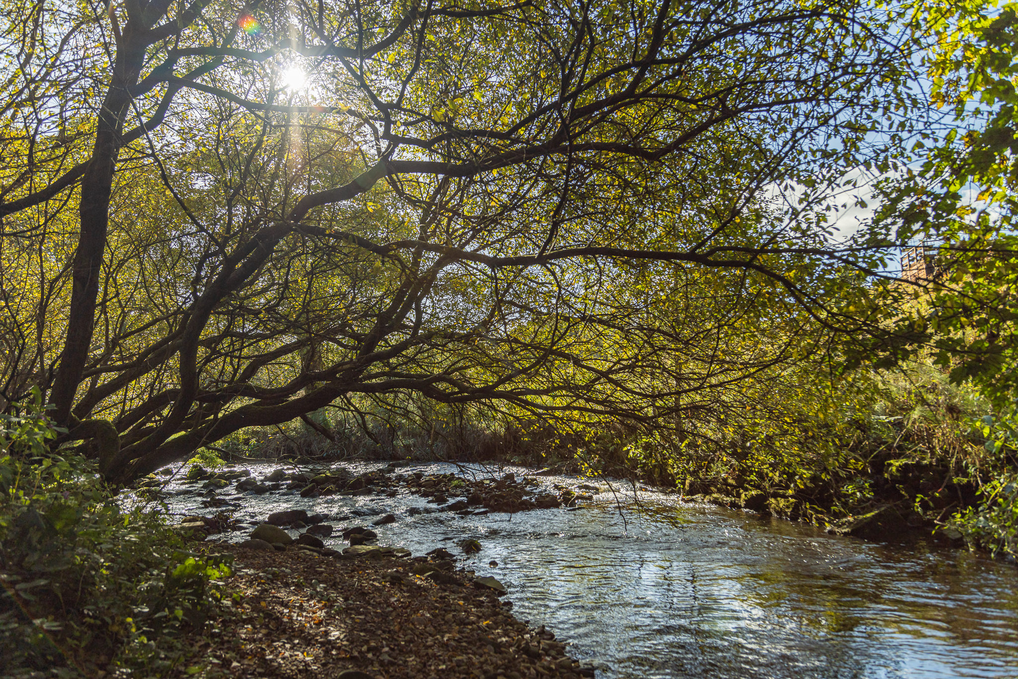 Caravans in West Yorkshire | Bronte Caravan Park