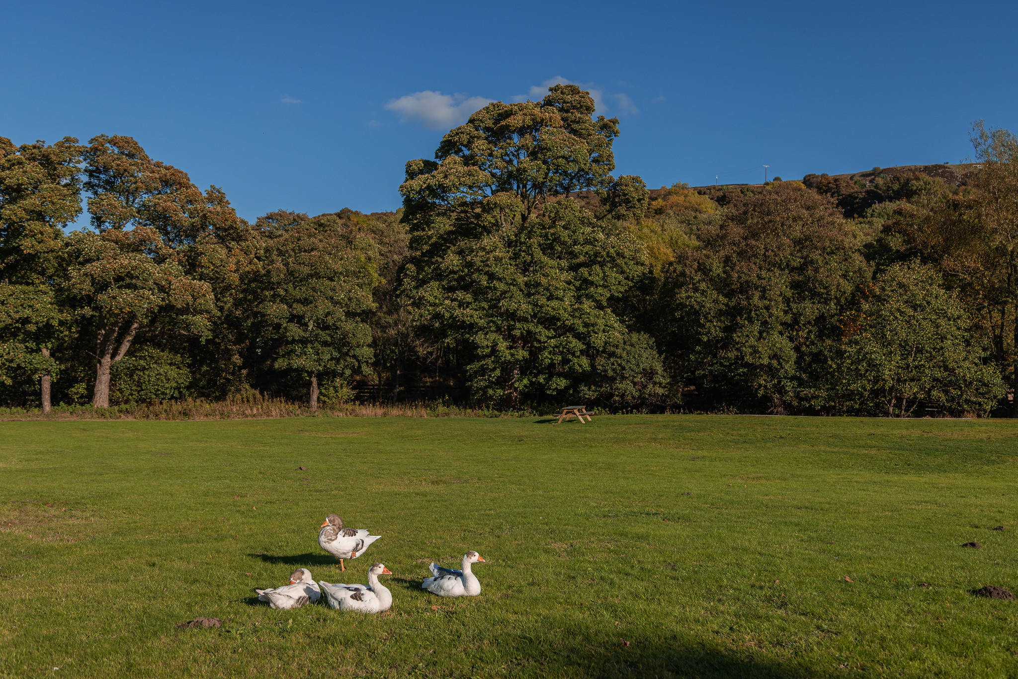 Caravans in West Yorkshire | Bronte Caravan Park