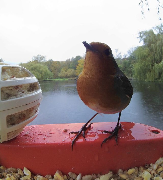 Caravans in West Yorkshire | Bronte Caravan Park