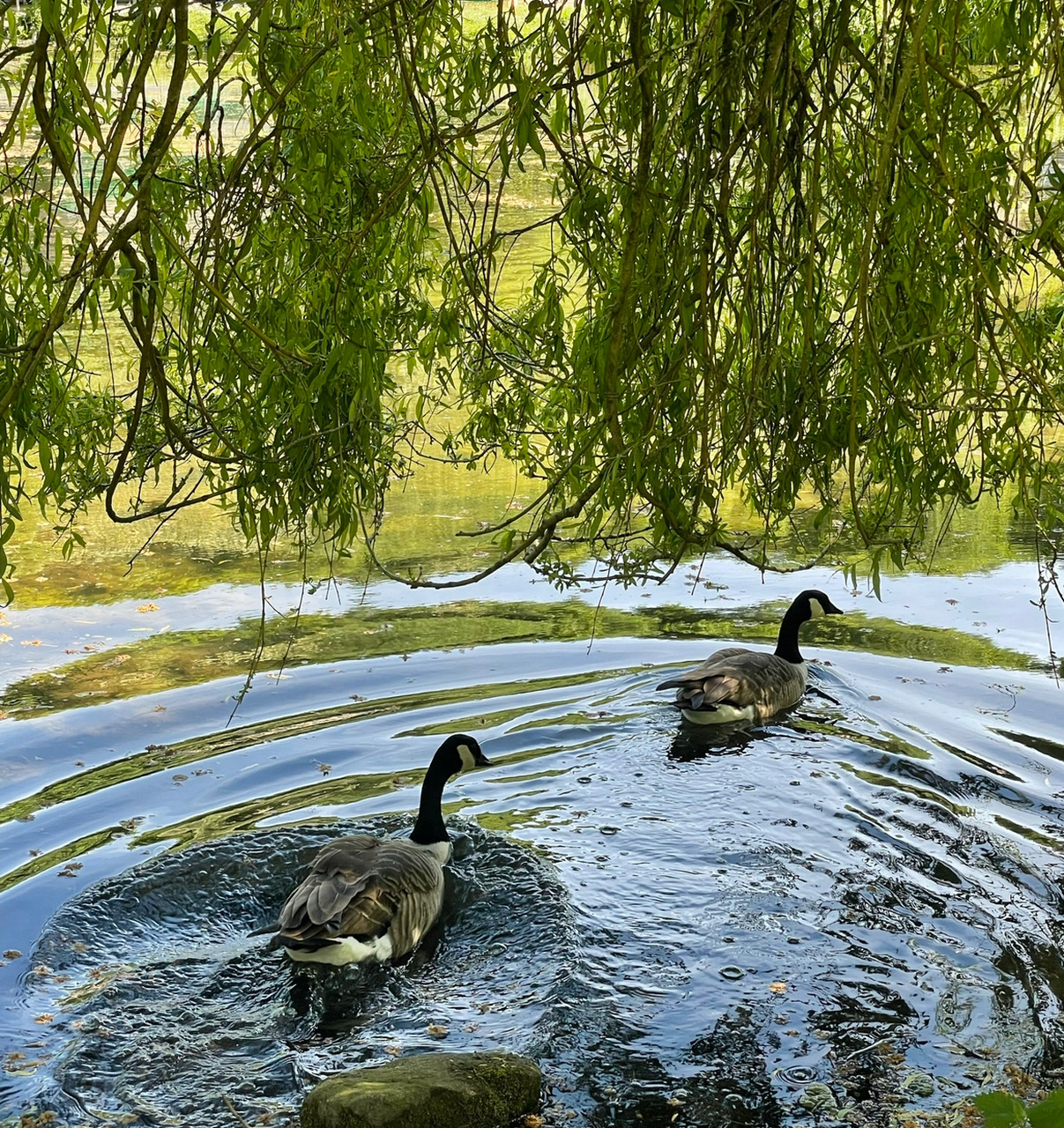 Caravans in West Yorkshire | Bronte Caravan Park