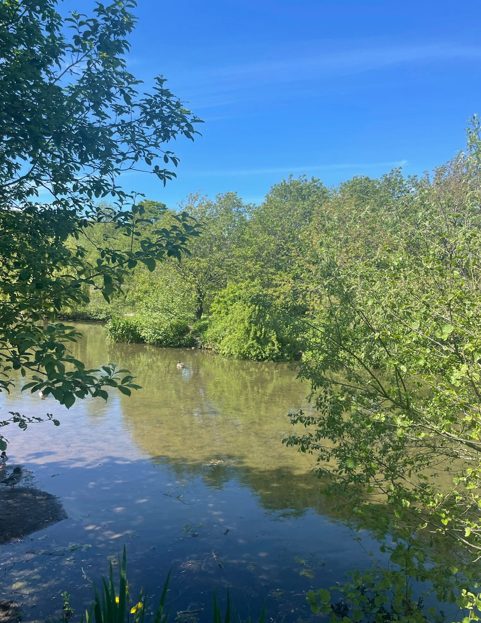 Caravans in West Yorkshire | Bronte Caravan Park